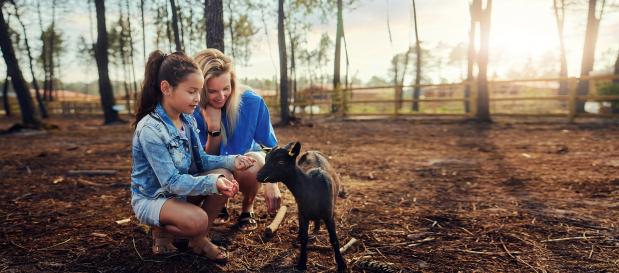 Vacances et loisirs en Europe : séjours en pleine nature | Center Parcs