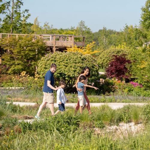 Vacances et loisirs en Europe : séjours en pleine nature | Center Parcs