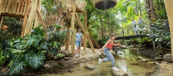 Day ticket Het Heijderbos | Center Parcs