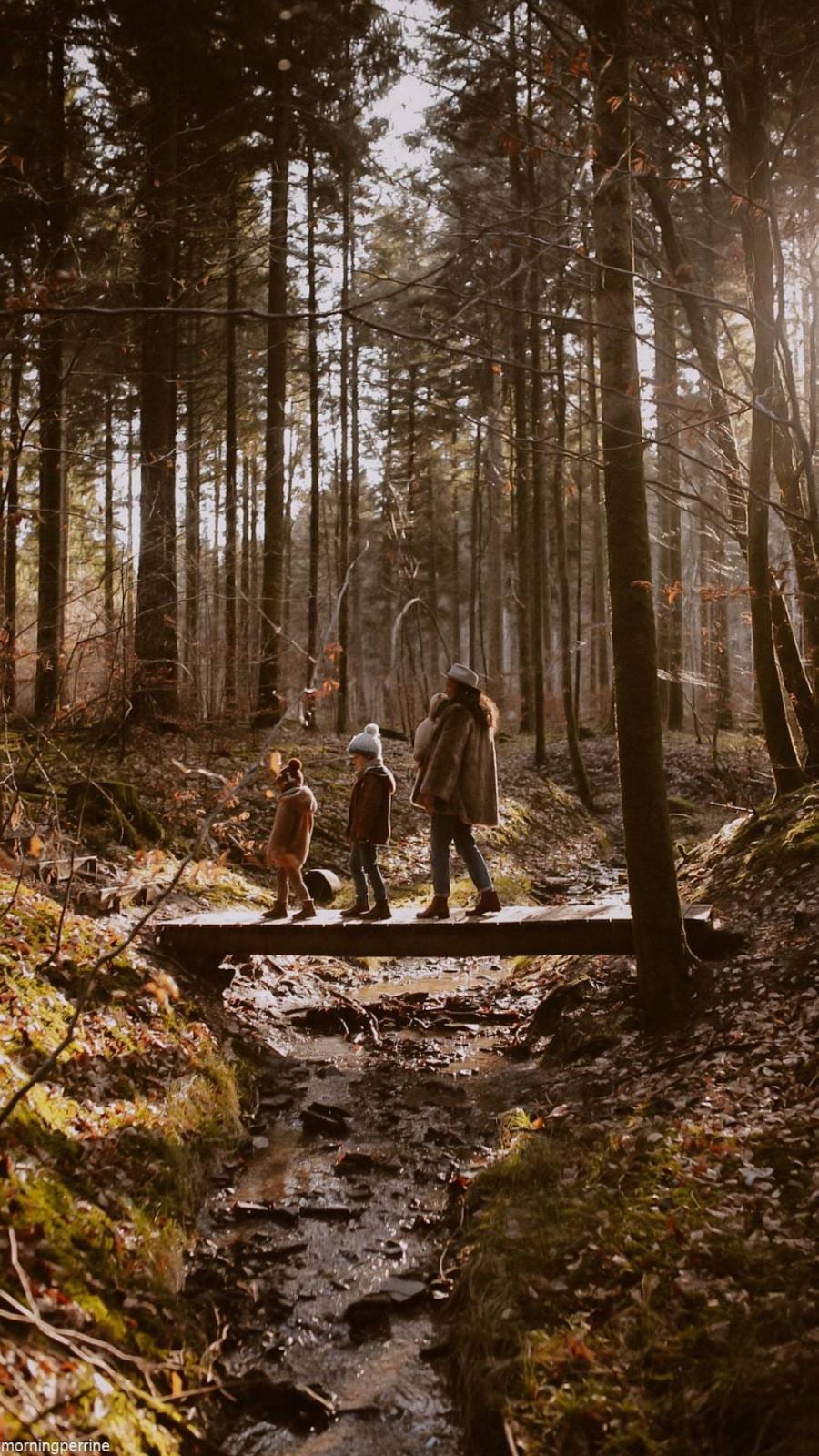 Short Family Breaks in Europe | Holiday Cottage | Center Parcs